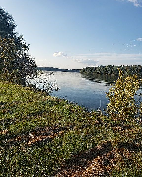 1116 Johnson Landing Rd, Valhermoso Springs, AL 35775 | Zillow