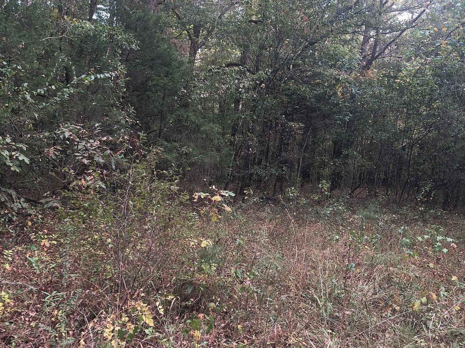 0 State Highway 145 #2, Clanton, AL 35046 | Zillow