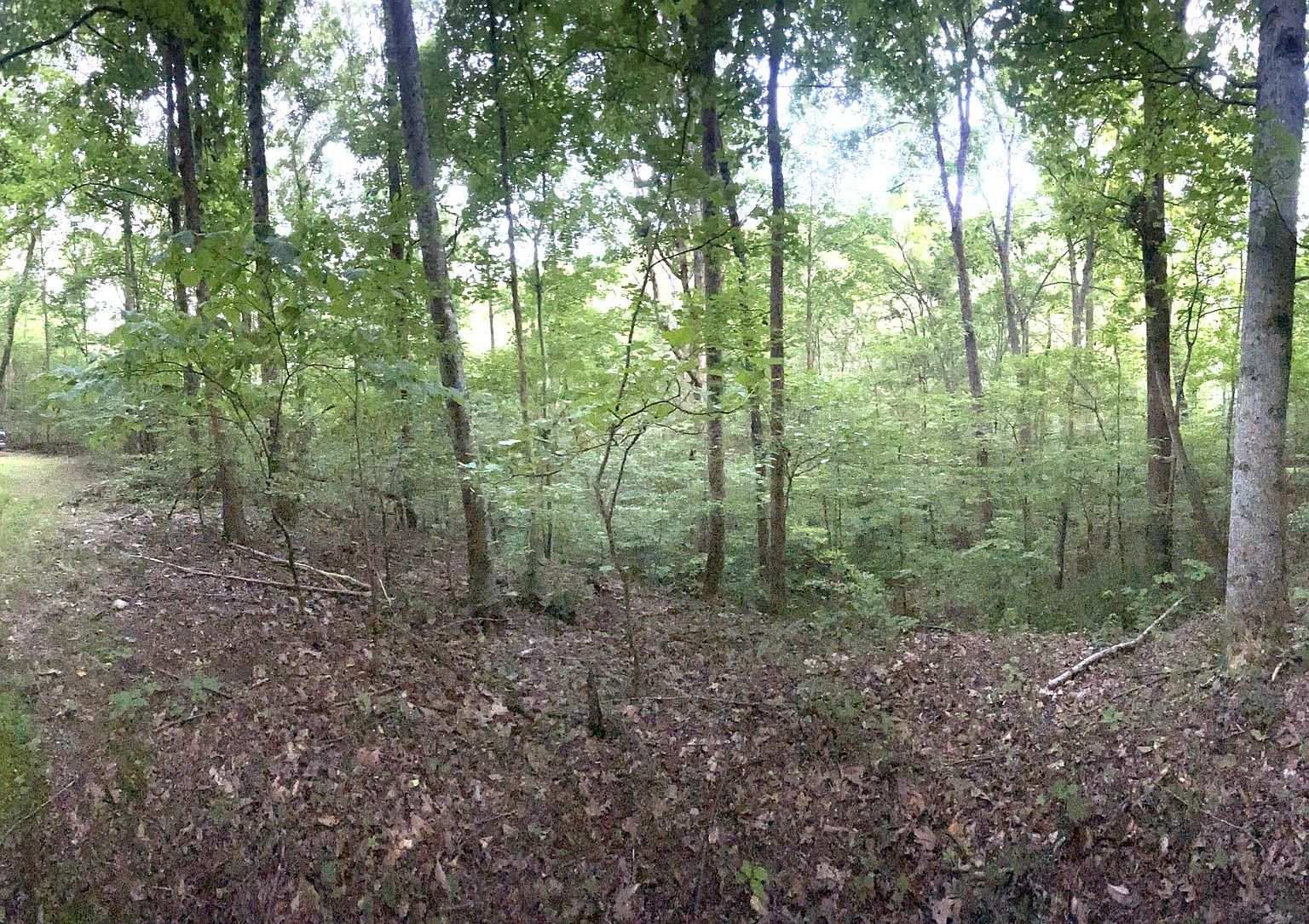 667 Sanford Cts, Ranger, GA 30734 | MLS #10182344 | Zillow