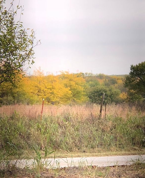 98th Meridian Rd, Henrietta, TX 76365 | MLS #20330942 | Zillow