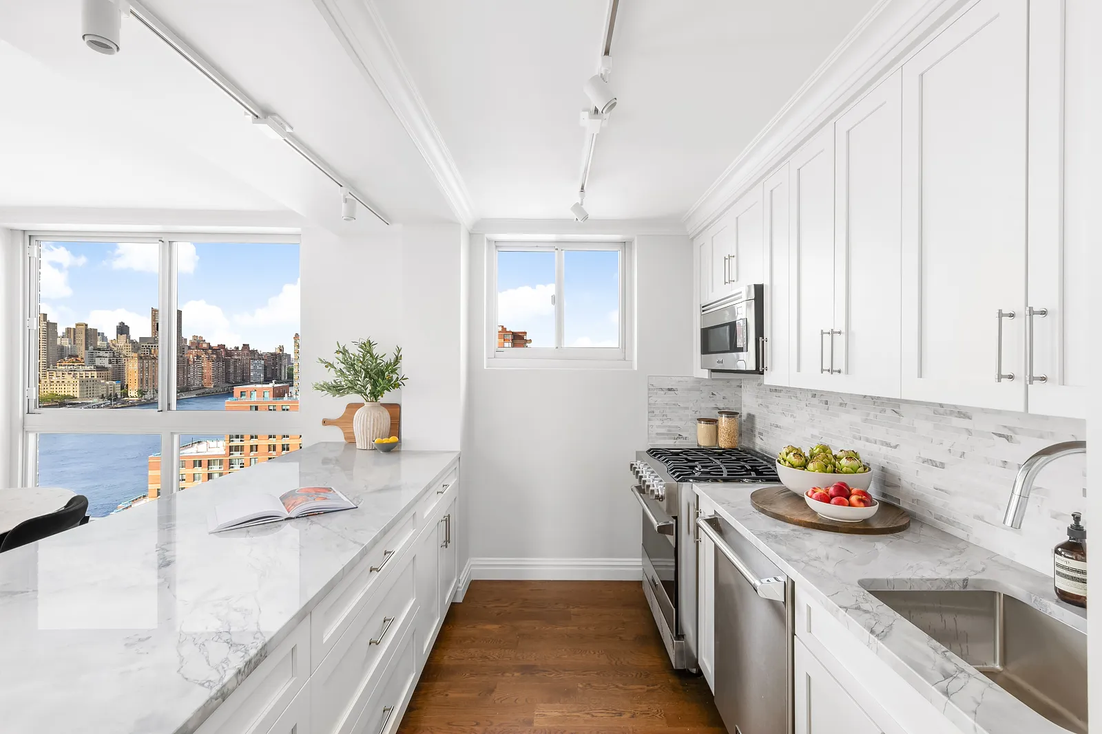 595 Main Street #508 in Roosevelt Island, Manhattan | StreetEasy