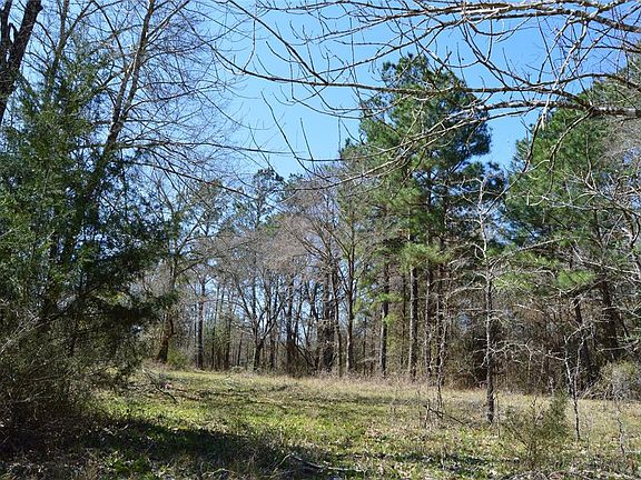 Moffitt Springs Dr, Huntsville, TX 77320 | MLS #26721162 | Zillow