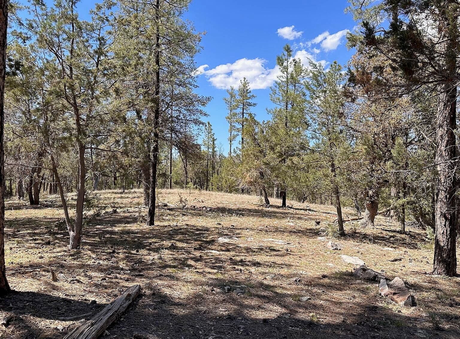 LOT 44 S Diamond Point, Payson, AZ 85541 | MLS #6814630 | Zillow