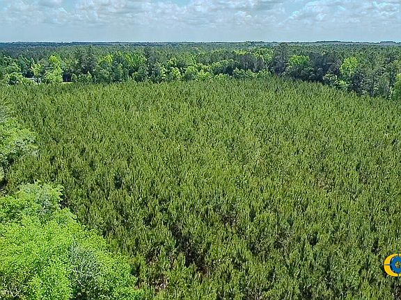 0 Red Root Rd, Ruffin, SC 29475 | MLS #24012076 | Zillow