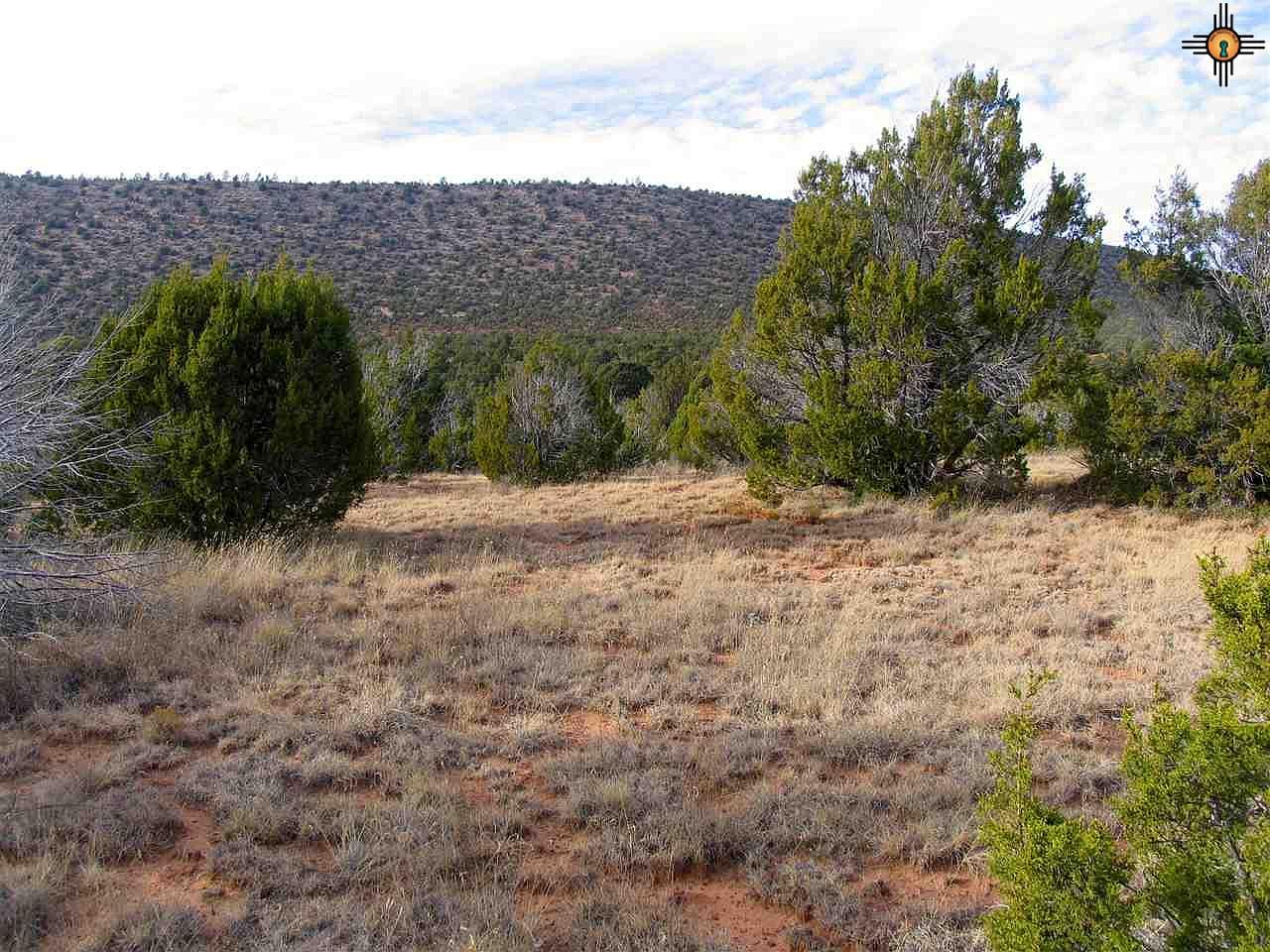 CR B31a, Gonzales Ranch, NM 87560 | Zillow