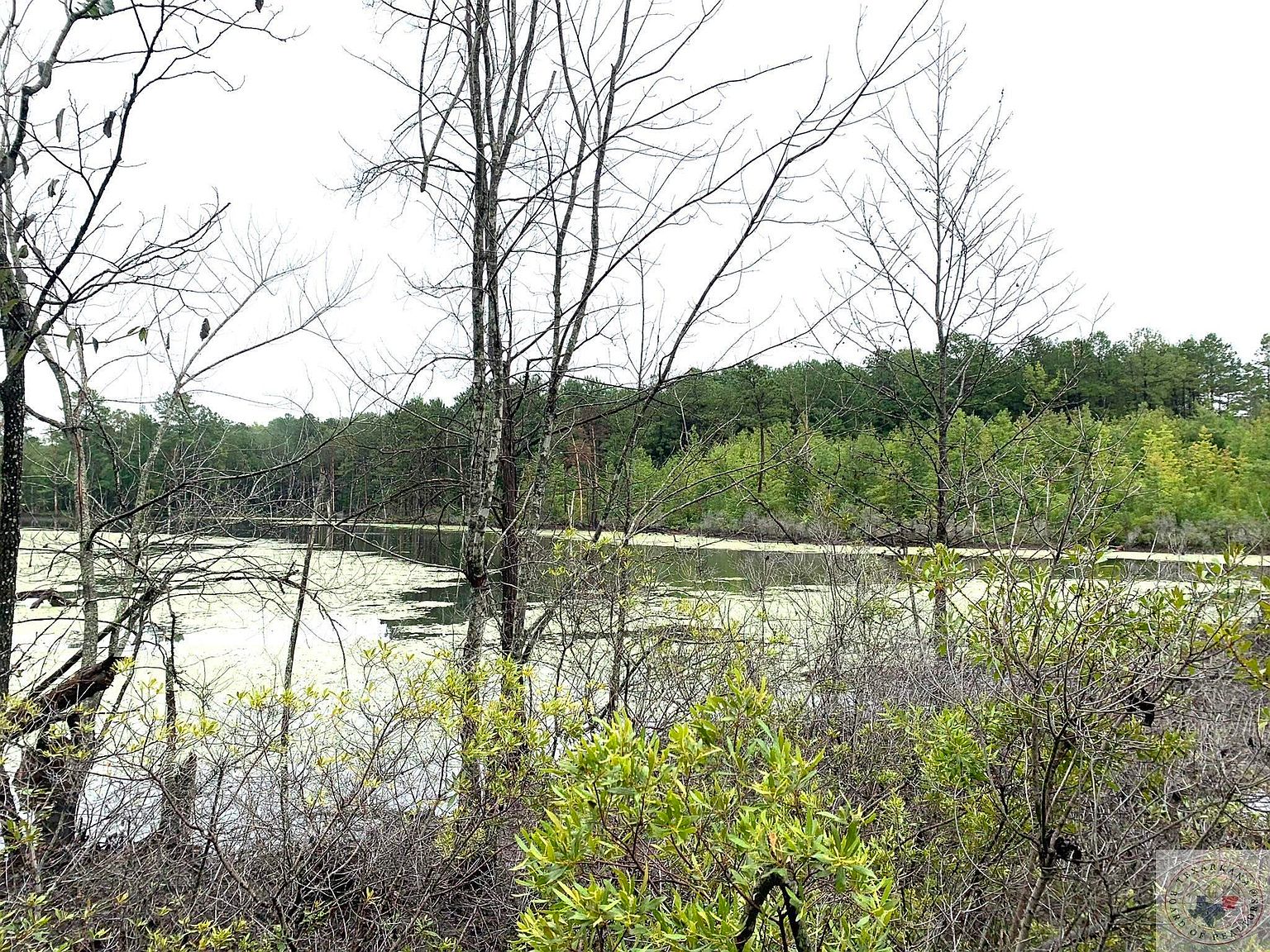 Tbd Cr 2339, Marietta, TX 75566 | MLS #110099 | Zillow