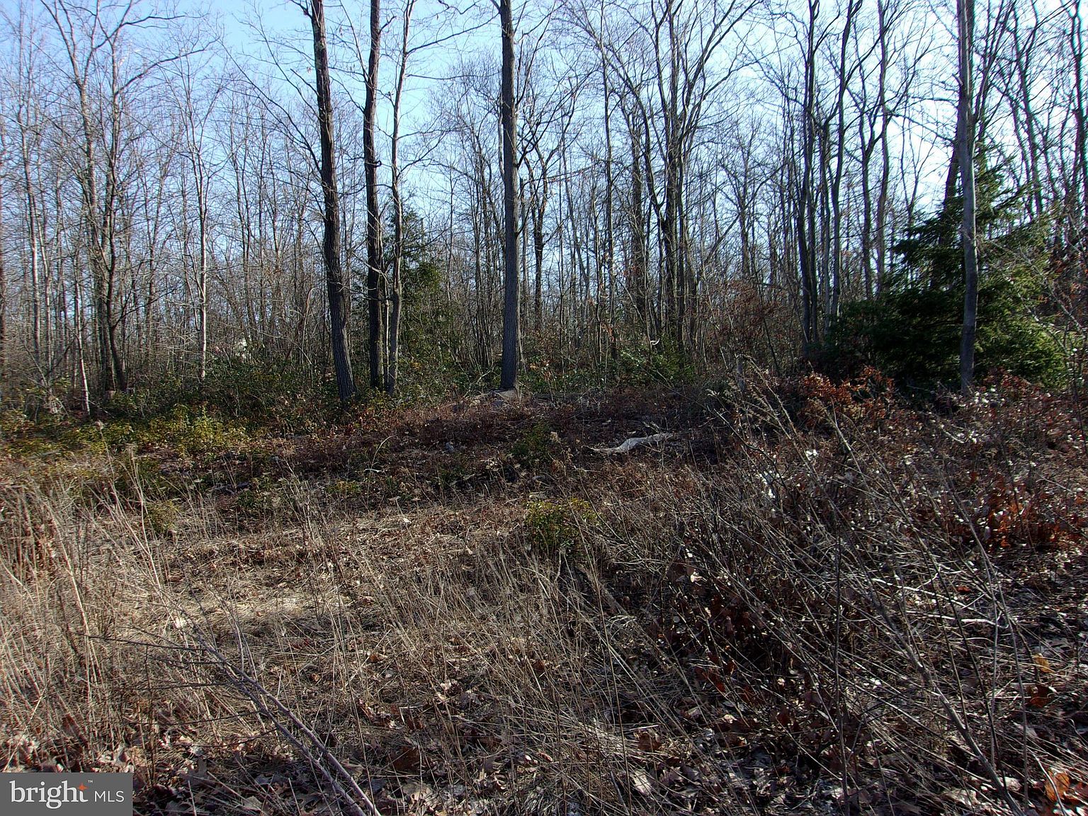 Tyrone Pike, Sandy Ridge, PA 16677 | Zillow