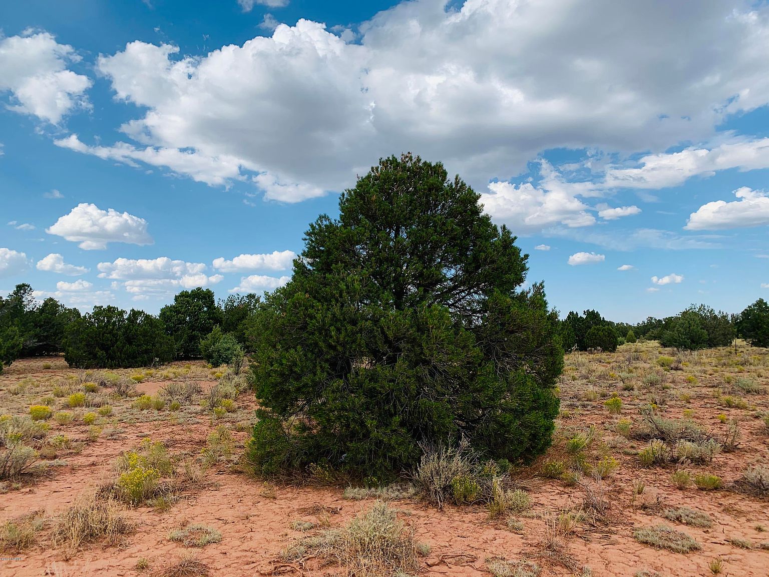 4249 E Wingfield Rd, Williams, AZ 86046 | Zillow