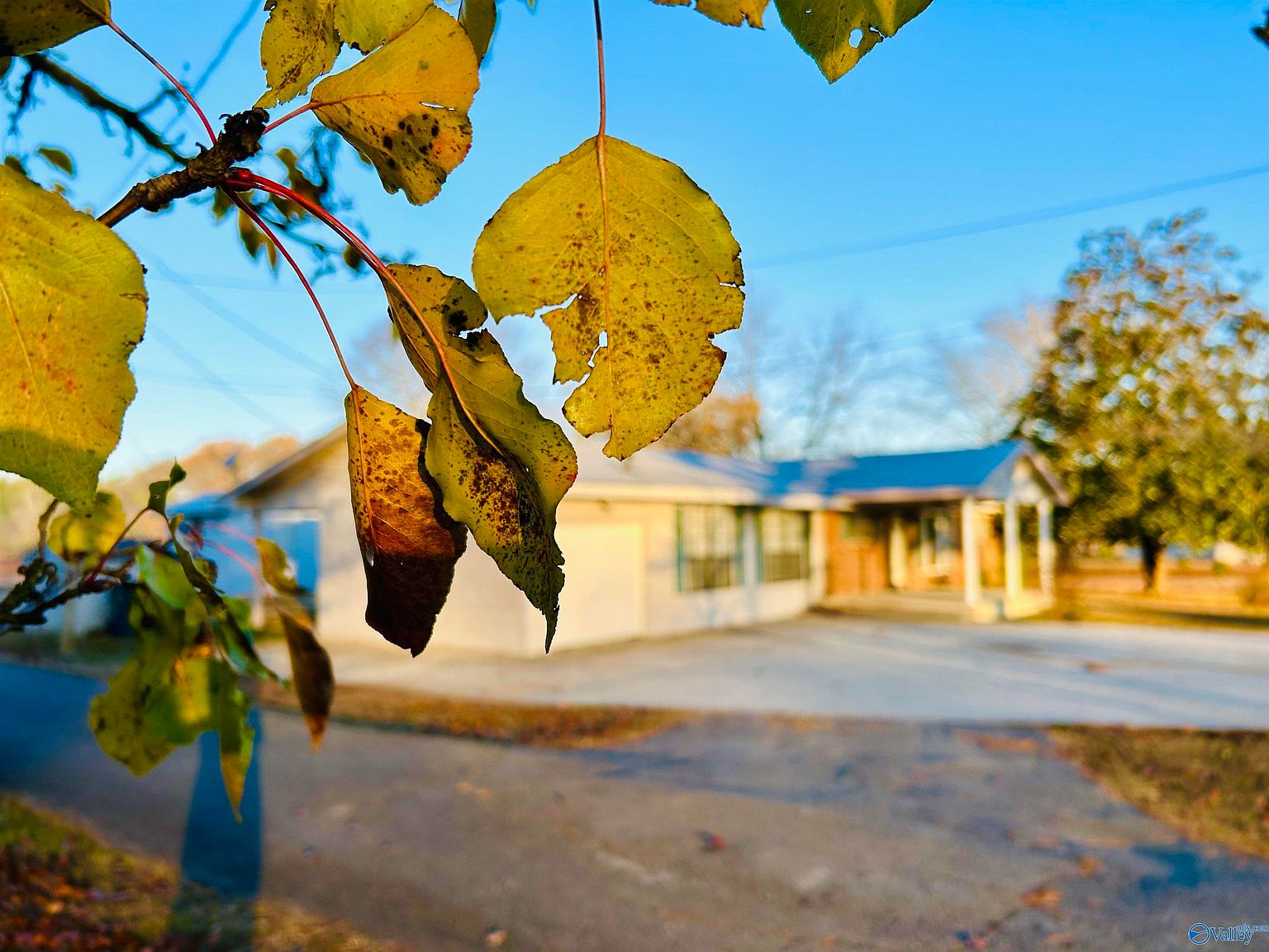 2411 Shady Grove Ln SW, Decatur, AL 35603 | Zillow