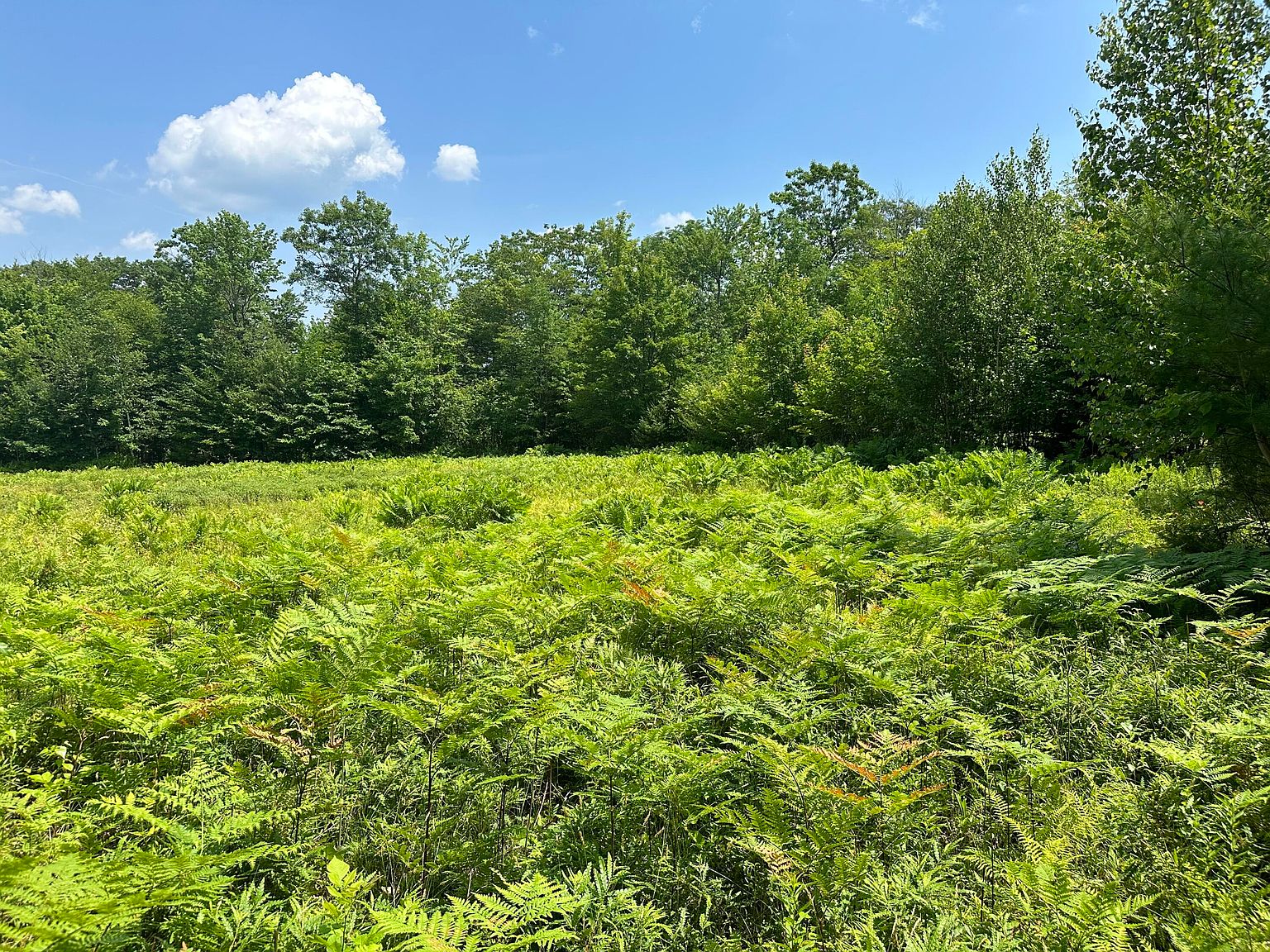 Lot 6-3 Hio Ridge Road, Bridgton, ME 04009 | Zillow