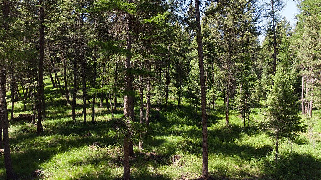 738 Lore Lake Rd, Kalispell, MT 59901 | Zillow