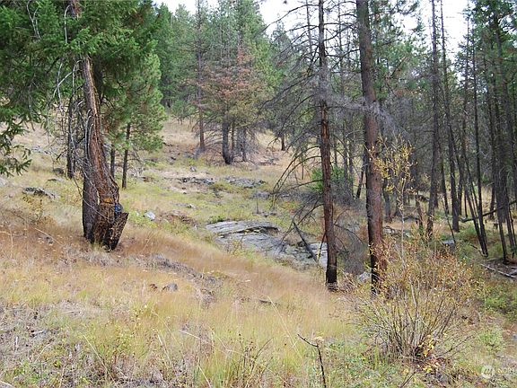 1903 Tunk Creek Road, Riverside, WA 98849 | MLS #2161534 | Zillow