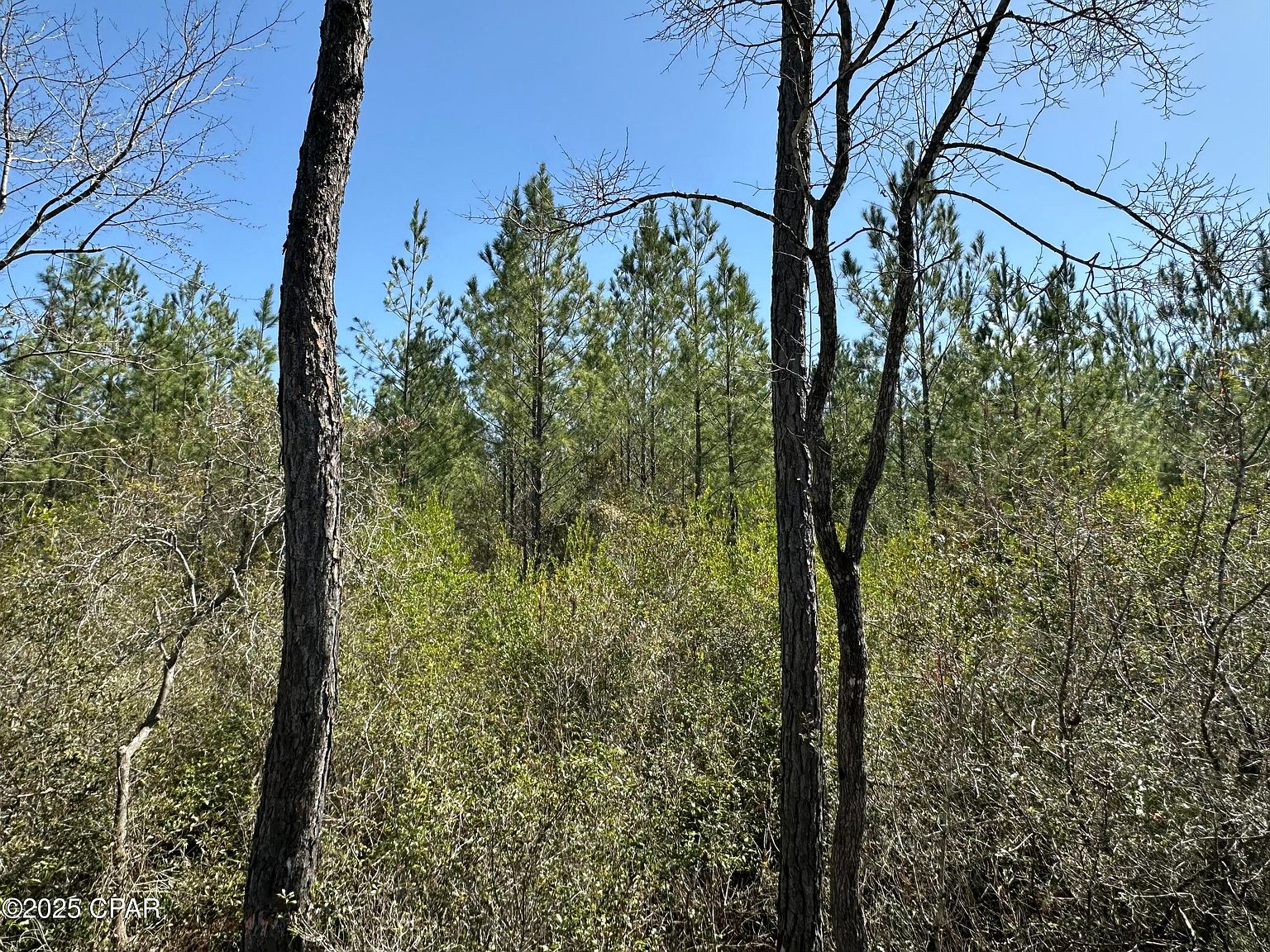 TRACT 6417 N Brock Rd, Caryville, FL 32427 | MLS #772420 | Zillow