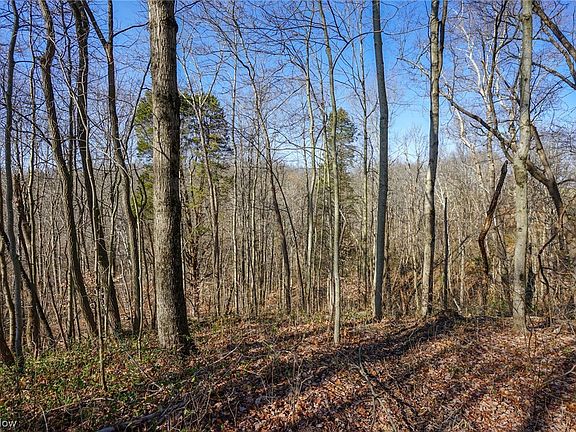 0 State Route 83 Rd, Beverly, OH 45715 | MLS #4442056 | Zillow