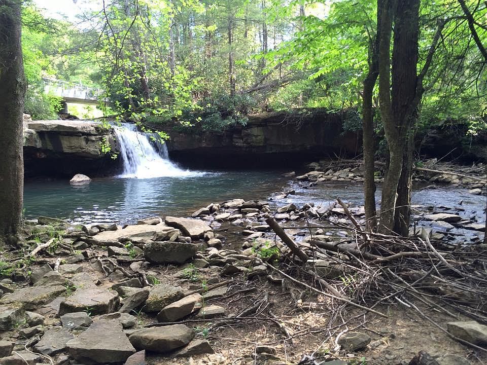 1924 Hominy Falls Rd, Mount Nebo, WV 26679 | Zillow