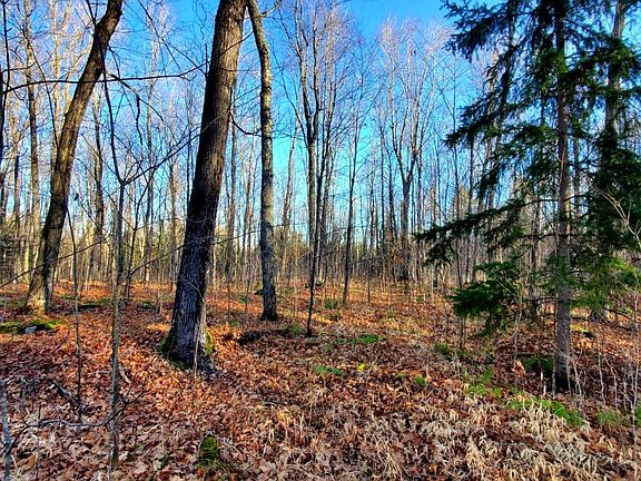 Nelson Landing Rd, Three Lakes, WI 54562 | MLS #199588 | Zillow