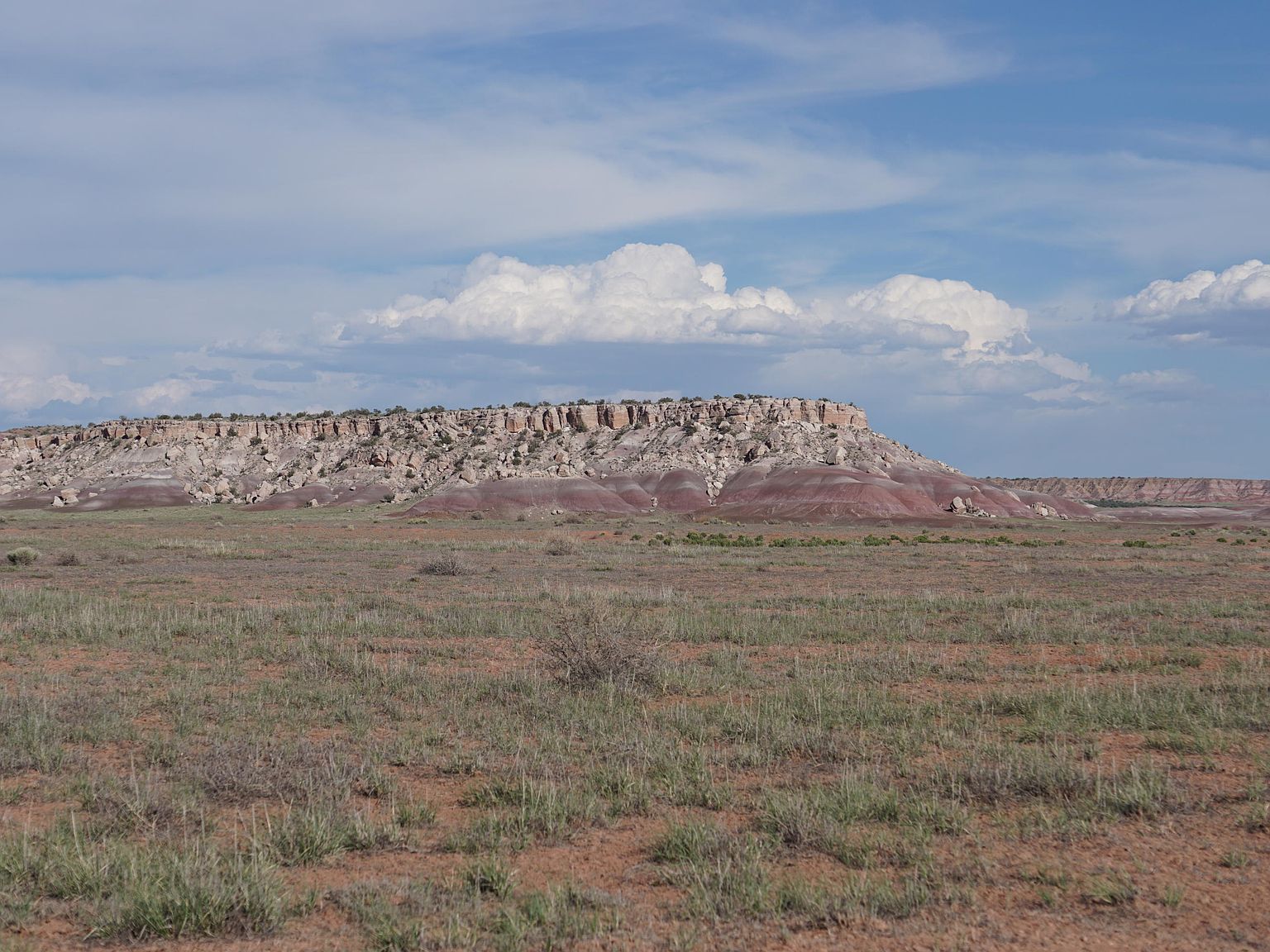 Two Lots Bonito Valley Ranches, Saint Johns, AZ 85936 | Zillow