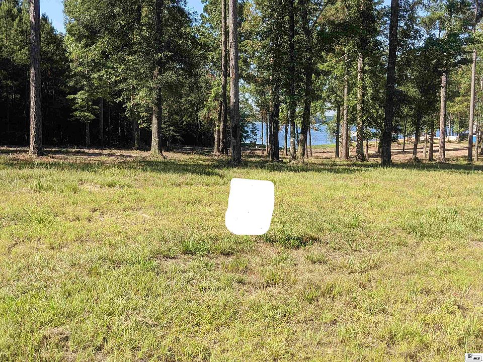 251 Doctors Point Dr, Chatham, LA 71226 | MLS #202253 | Zillow