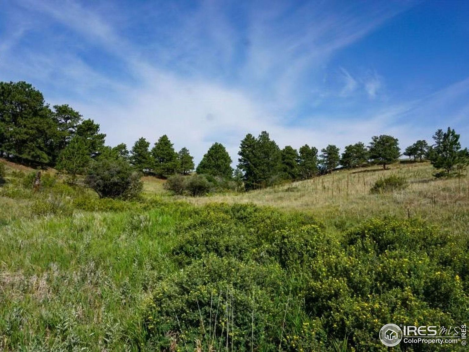 0 Stub Ct, Livermore, CO 80536 | MLS #1042704 | Zillow