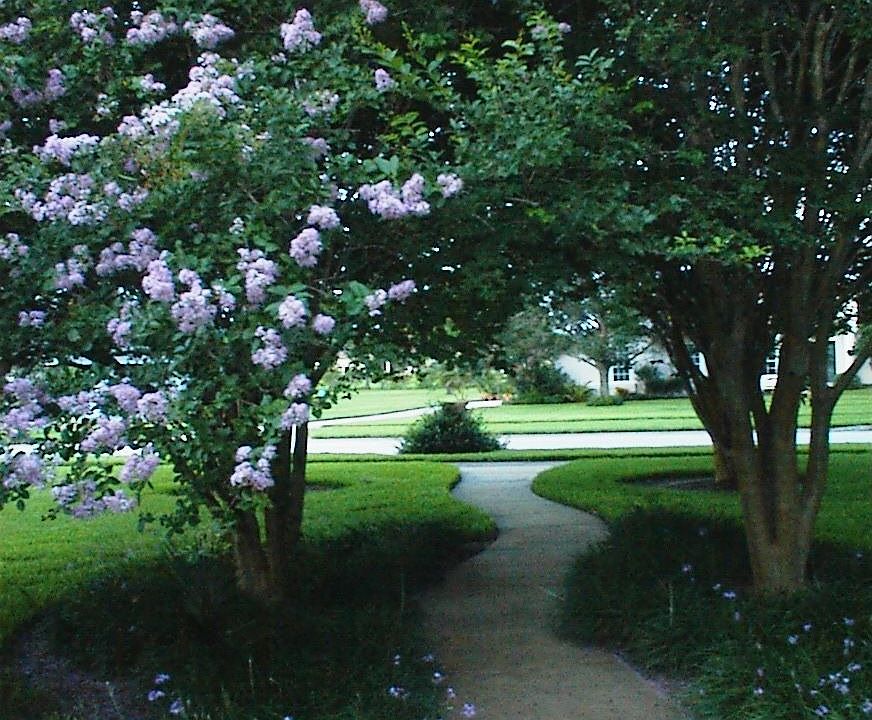 5204 Butler Ridge Dr, Windermere, FL 34786 | Zillow