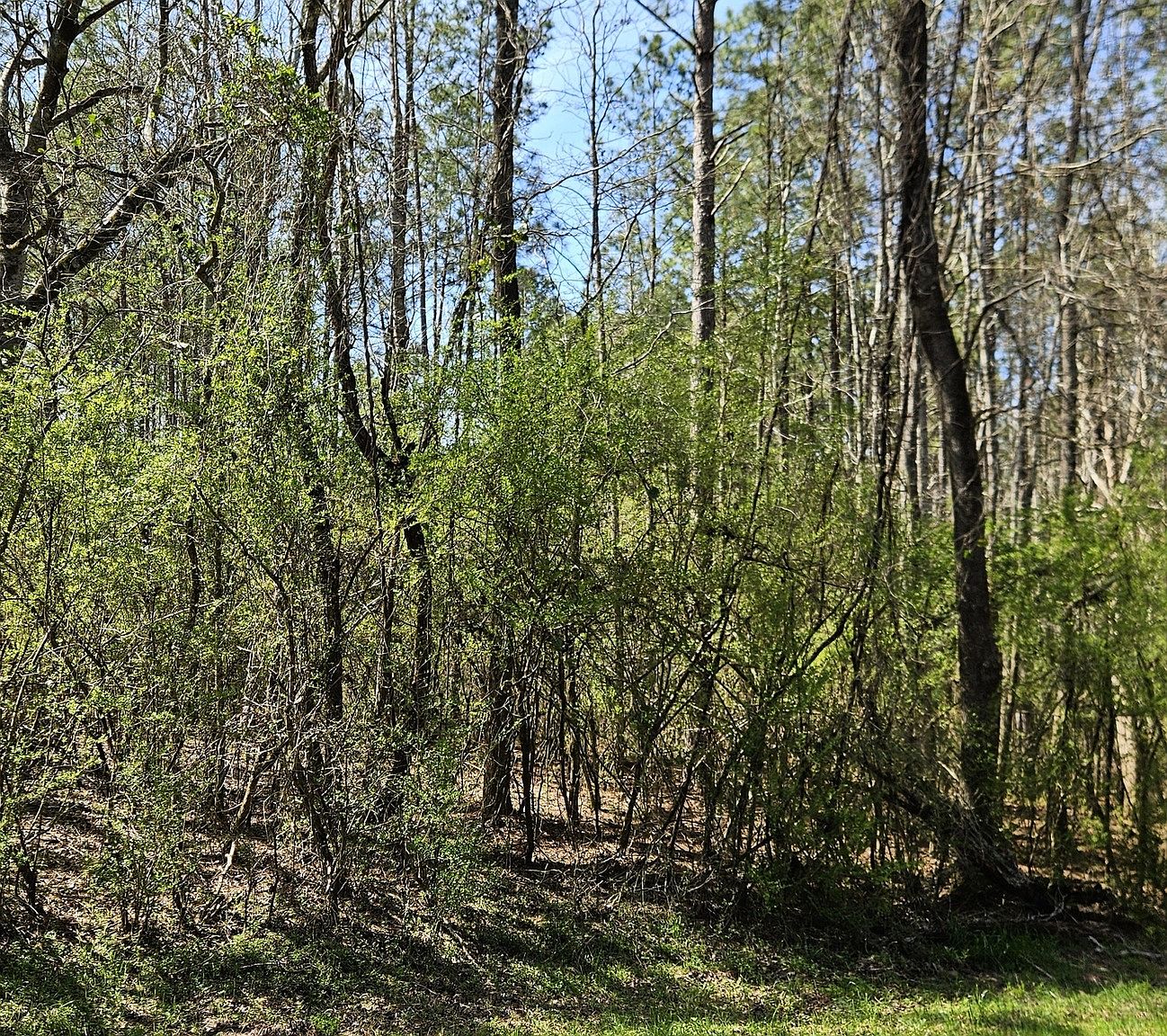 LOT 4 Penfield Rd, Greensboro, GA 30642 | Zillow