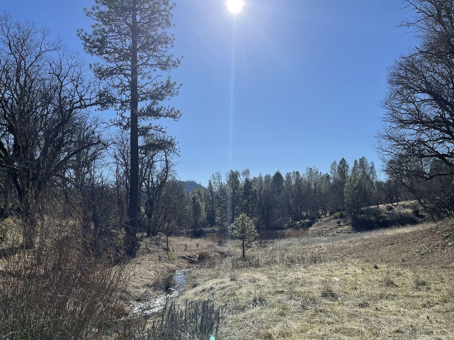 281 Garden Gulch Ln, Hayfork, CA 96041 | Zillow