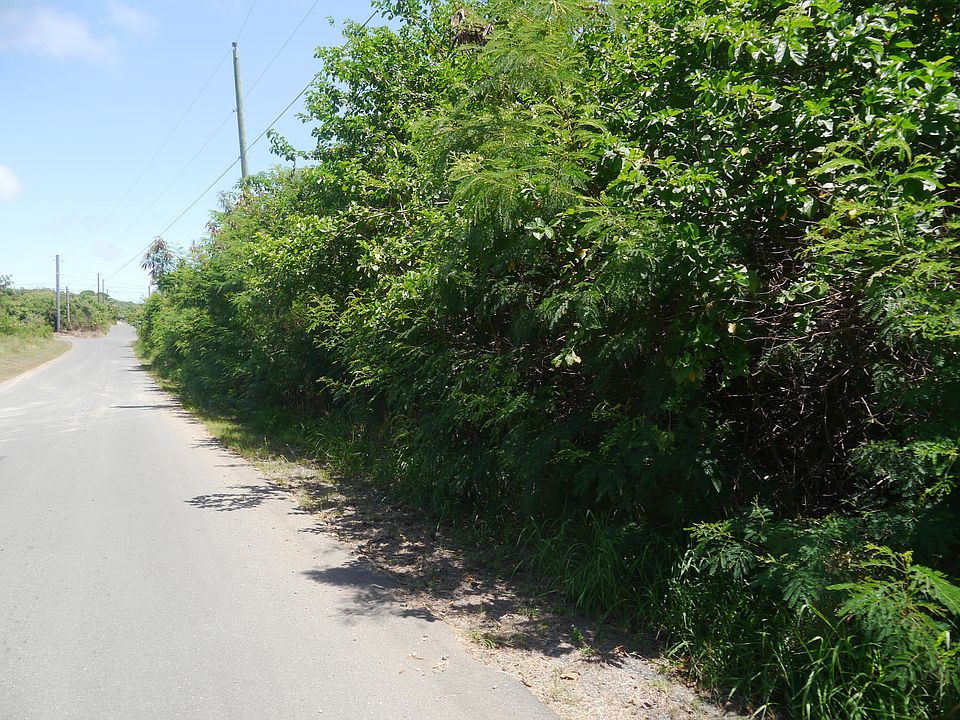 1-J Humbug QU, Christiansted, VI 00820 | MLS #24-929 | Zillow