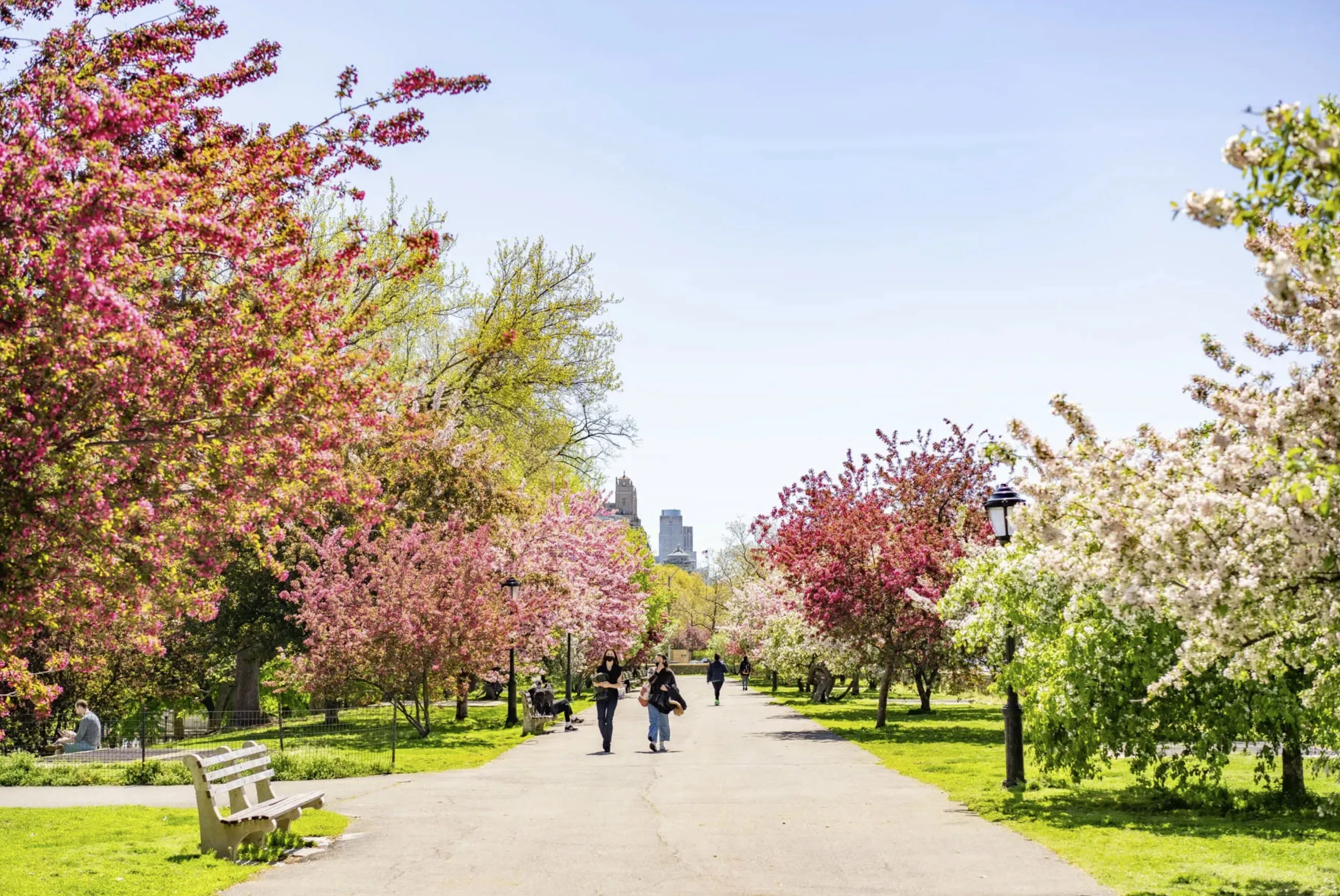 120 Riverside Drive #8WZ in Upper West Side, Manhattan | StreetEasy