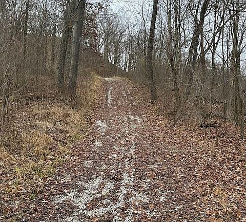 TBD Proctor Creek Rd, Proctor, WV 26055 | MLS #135188 | Zillow