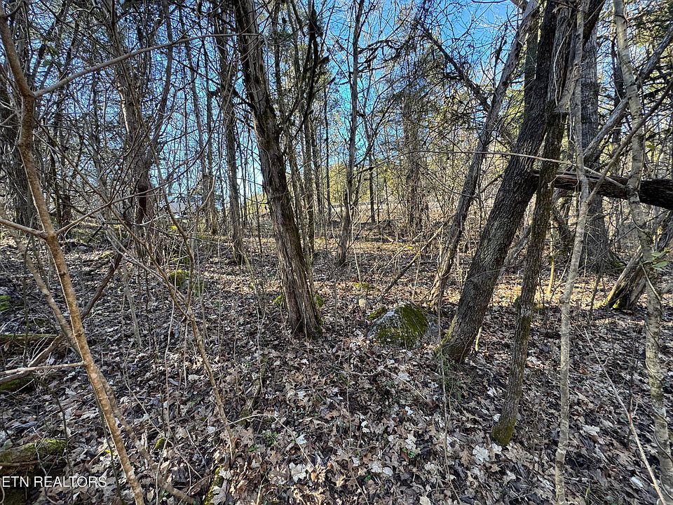 State Highway 131, Thorn Hill, TN 37881 | MLS #1330122 | Zillow