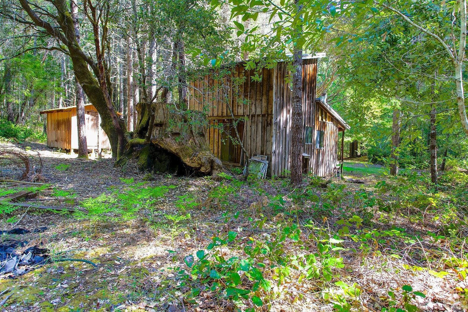 40050 Wilderness Lodge Road, Branscomb, CA 95417 | Zillow