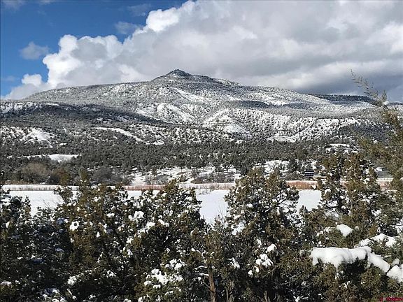 940 County Road 973, Arboles, CO 81121 | MLS #811493 | Zillow