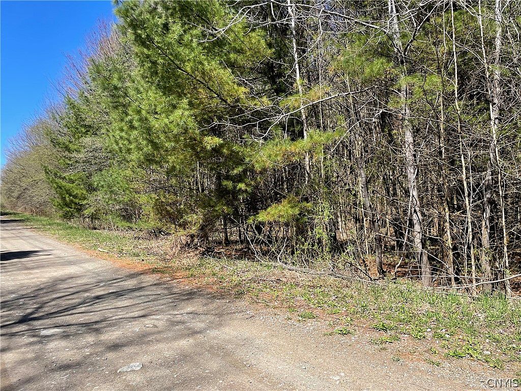 33 Austin Rd #1, Altmar, NY 13302 | Zillow