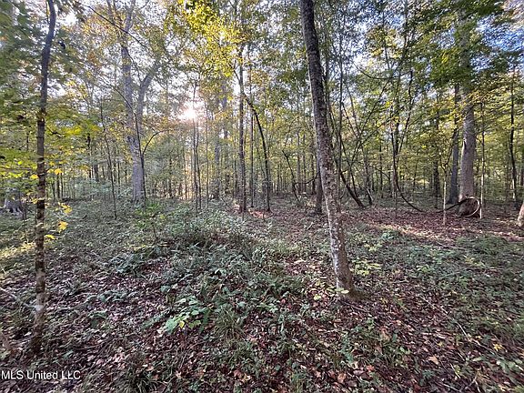 0 Percy Davis Rd, Bolton, MS 39041 | MLS #4096427 | Zillow