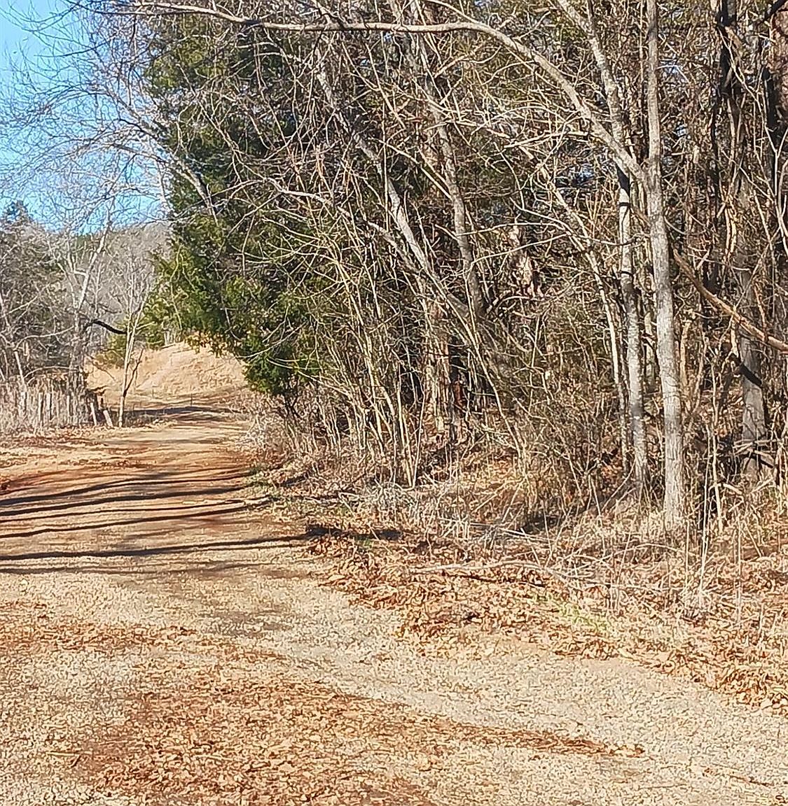 0 Graves Bridge Rd, Sandy Level, VA 24161 | MLS #357414 | Zillow