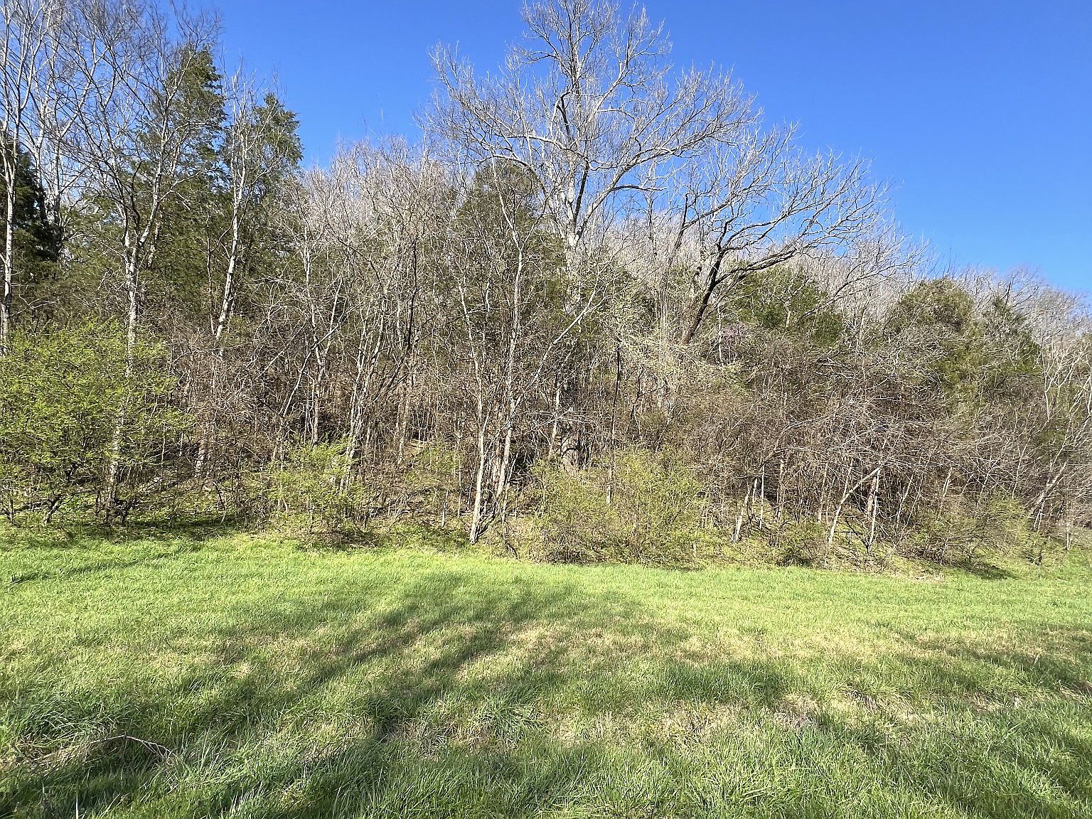 0 Spring Valley Rd LOT T-1, Taft, TN 38488 | MLS #2636328 | Zillow