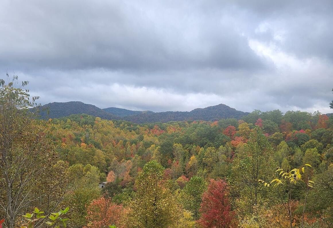 115 Stewart Rd, Keokee, VA 24265 | Zillow