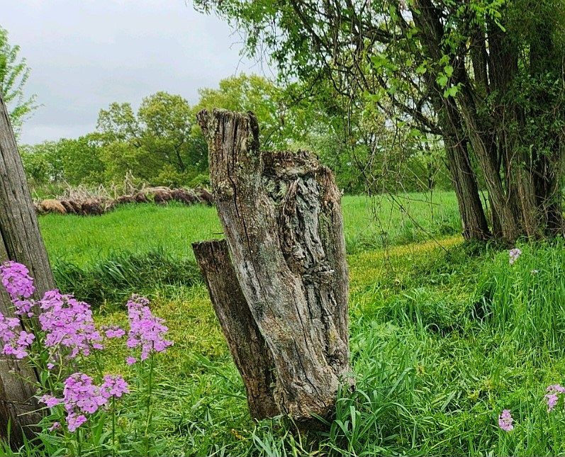 5 Ridge Rd, Eighty Four, PA 15330 | Zillow