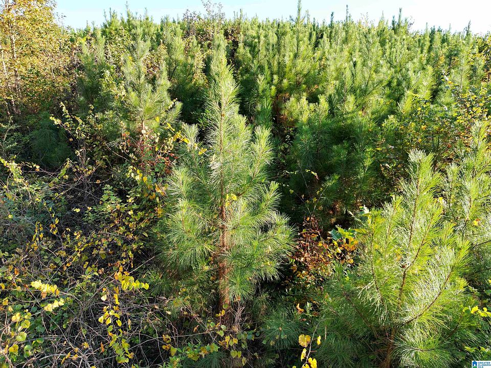 County Road 33 #0, Wedowee, AL 36278 | Zillow