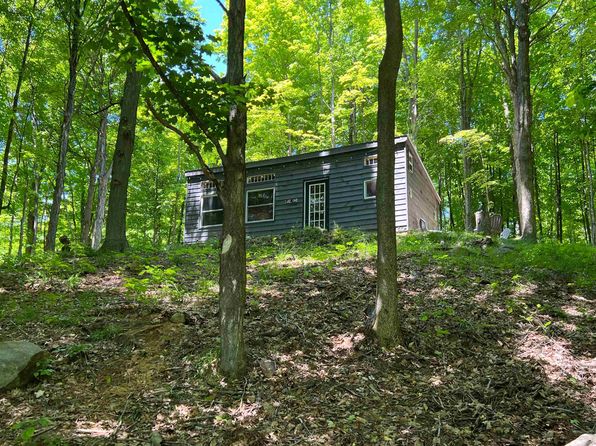 Redwood NY Real Estate - Redwood NY Homes For Sale | Zillow