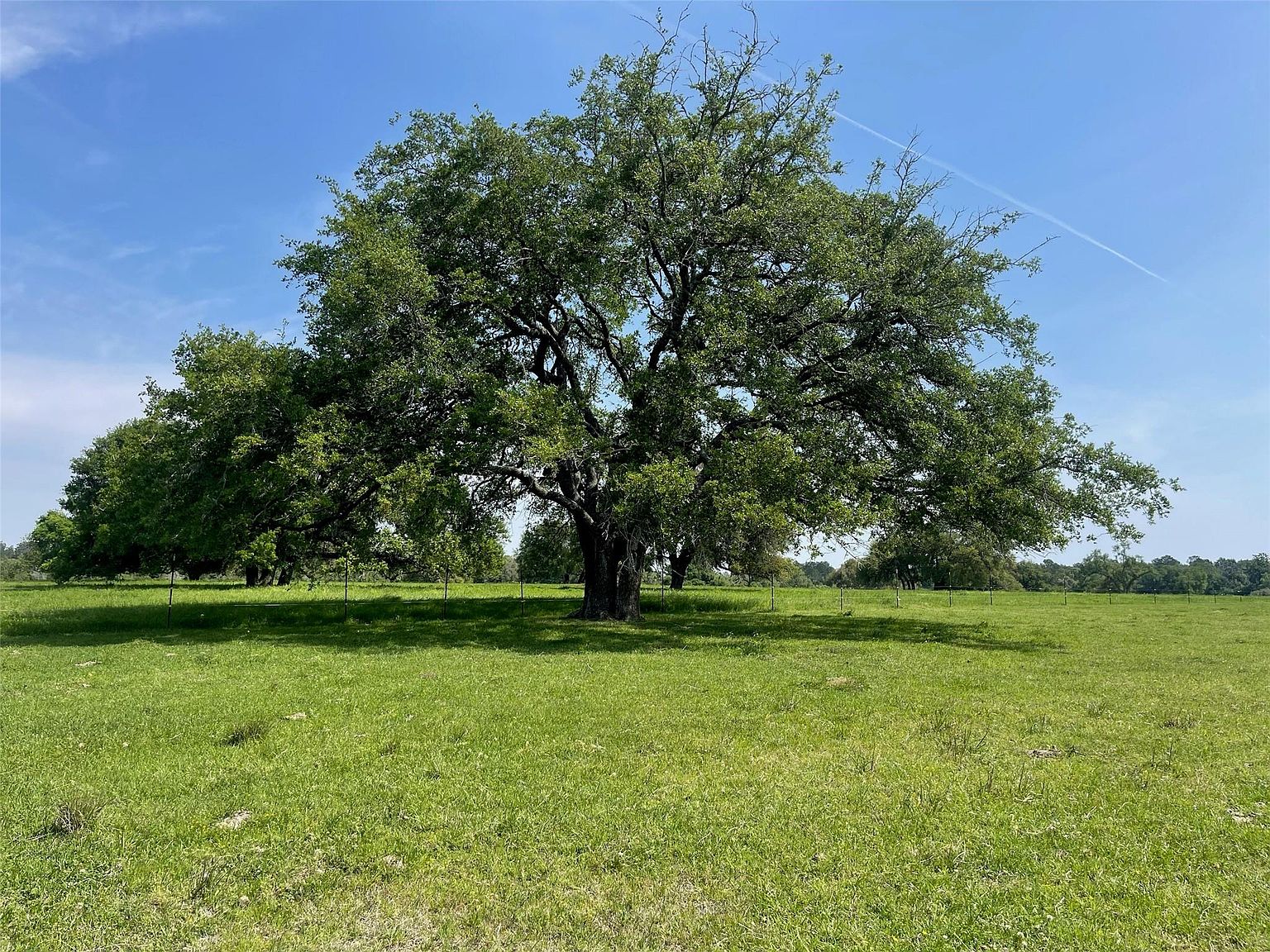 26039 Magnolia Rd LOT 3, Hockley, TX 77447 | MLS #79190339 | Zillow