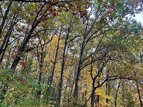 3253 Tibbets Dr, Traverse City, MI 49696 | Zillow