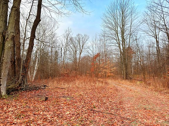 Vl 15 Mile Rd, Leroy, MI 49655 | Zillow