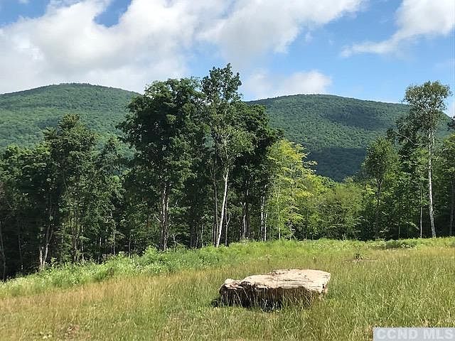 314 Ruland Rd, Maplecrest, NY 12454 | Zillow