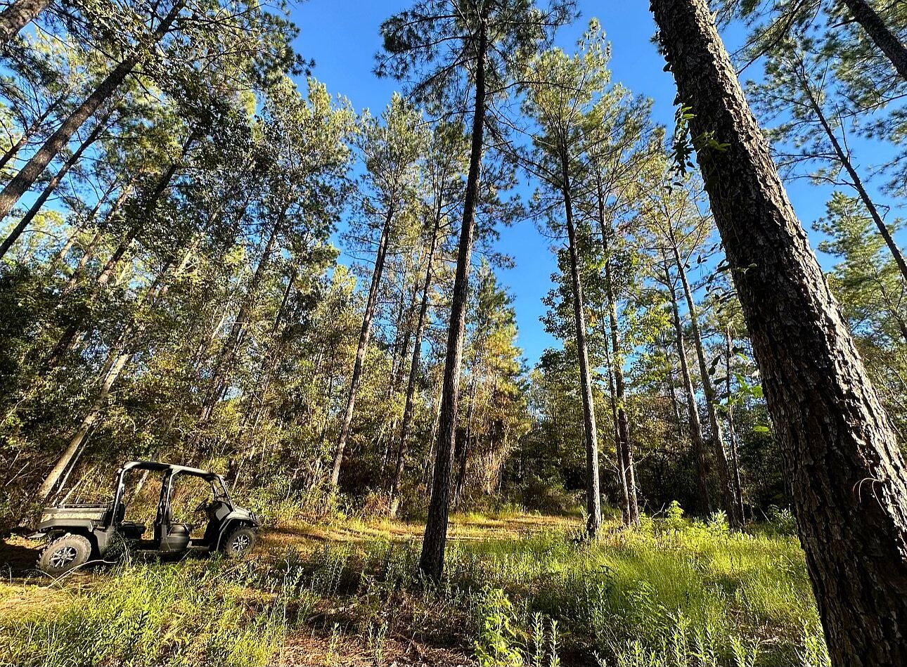 0 Whitfield Rd, Milton, FL 32570 | Zillow