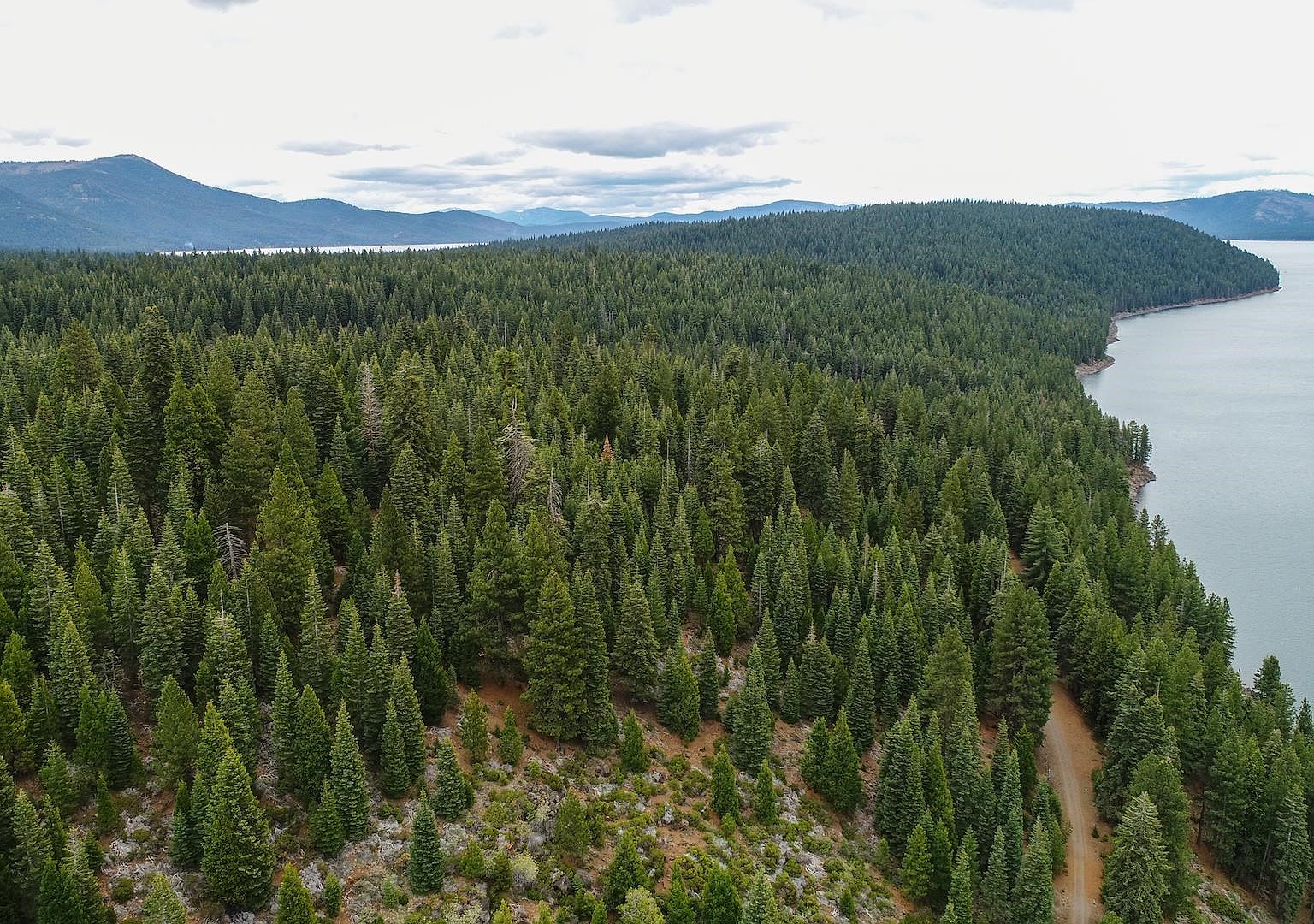 12600 Highway 36, Westwood, CA 96137 | MLS #20240383 | Zillow