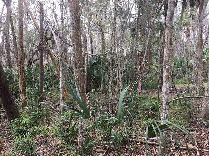 4410 S Le Woods Dr, Homosassa, FL 34448 | Zillow