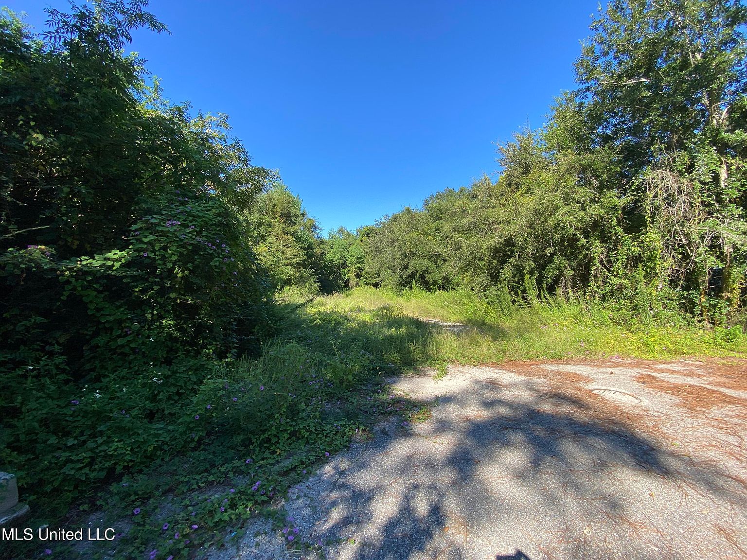 317 Silver Ridge Ave LOT 19, Gulfport, MS 39507 | Zillow
