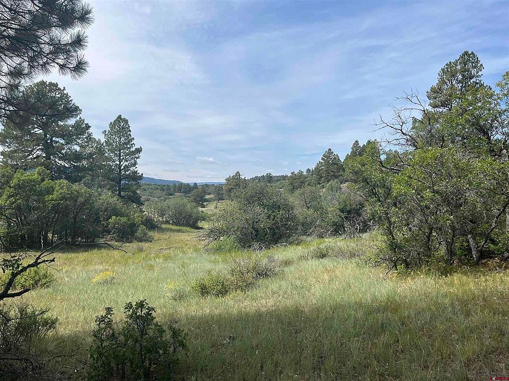 257 E Arbol Park Dr, Chromo, CO 81128 | MLS #798126 | Zillow