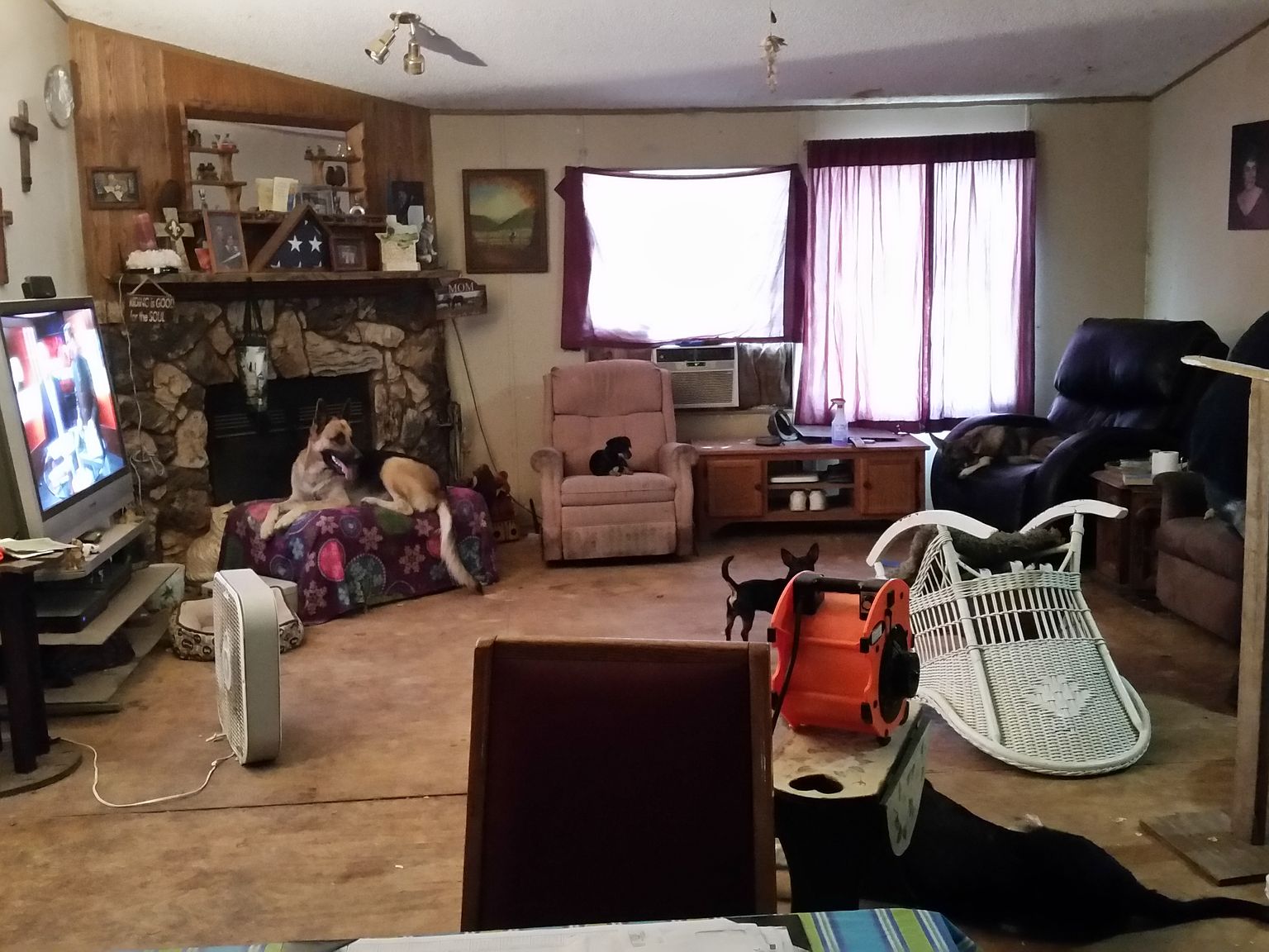 441 Ranger Dr, Sandia, TX 78383 | Zillow